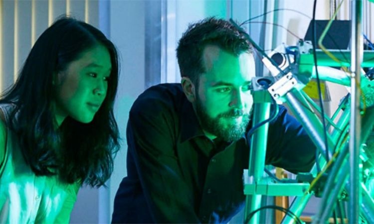 Auckland Bioengineering Institute General Fund - University of Auckland ...